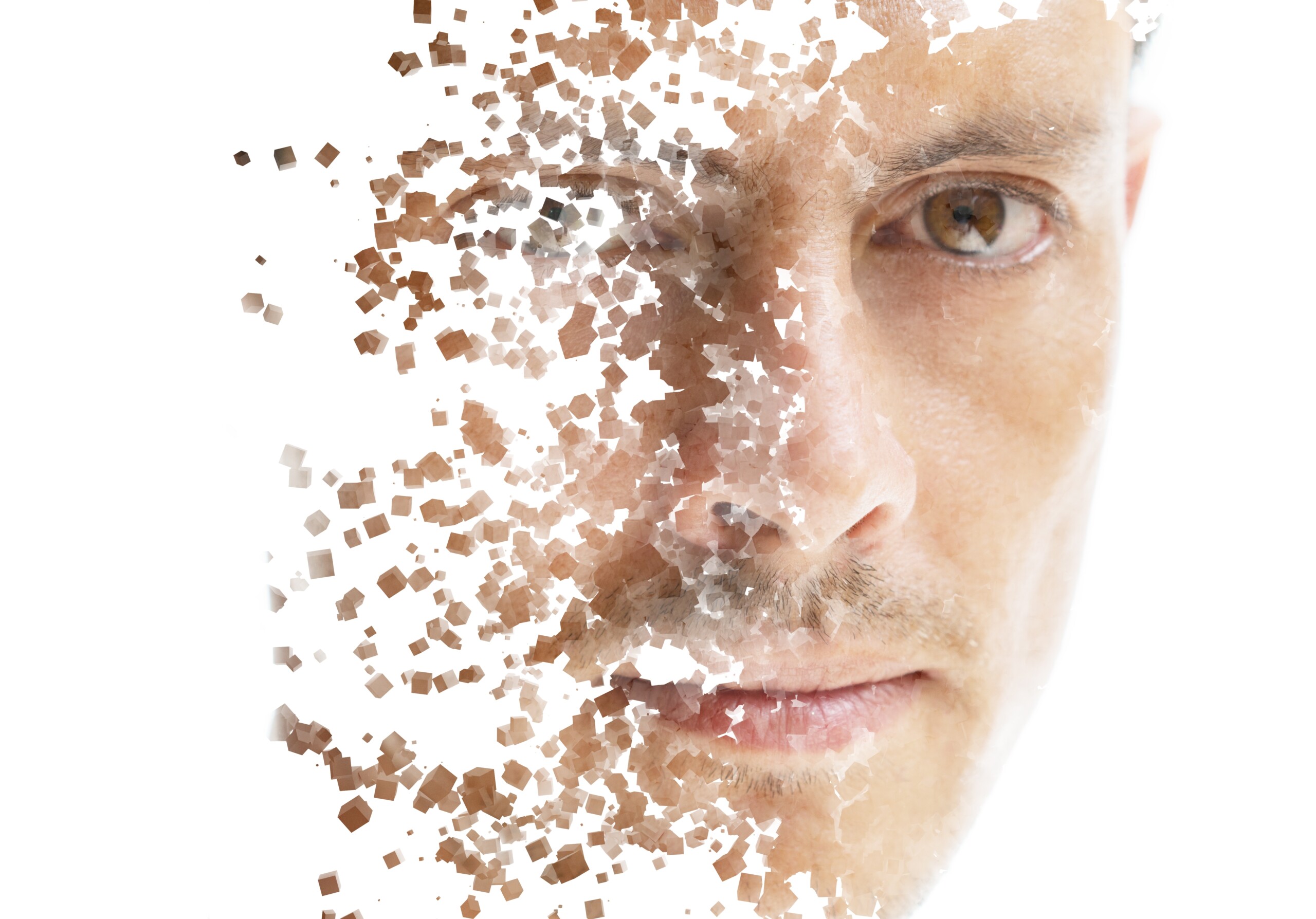 The Strange Case of the 'Disappearing' Internal Audit Department ...