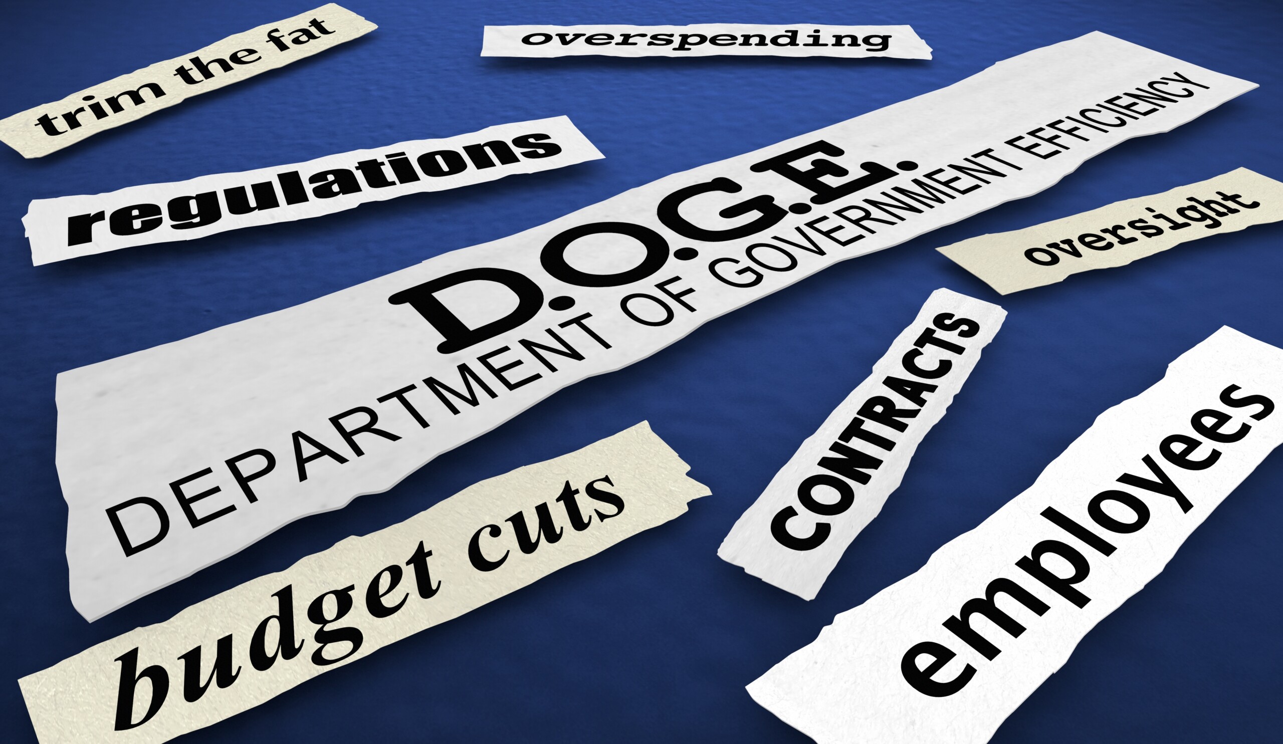 Five Things DOGE Could Learn from Internal Auditors - Audit Beacon